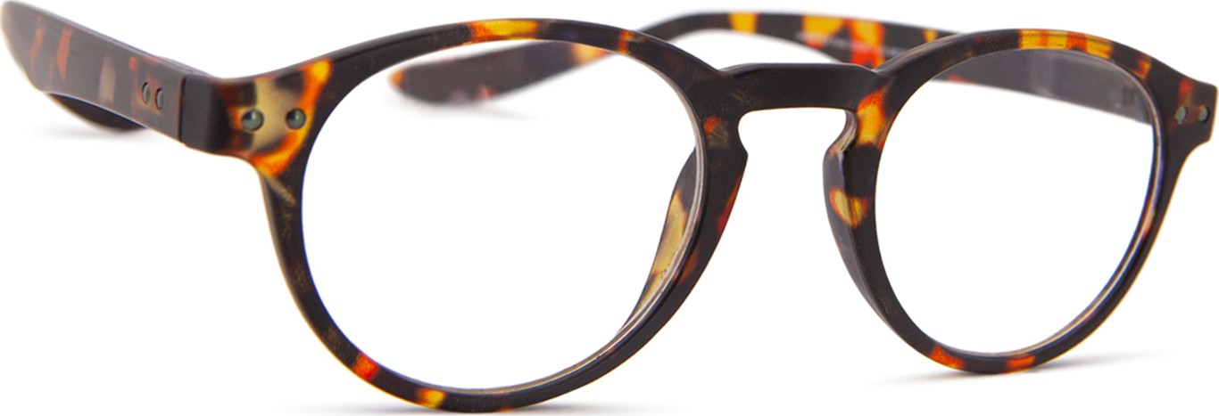 I Need You Reading Hangover Panto Tortoise – Occhiali da lettura | Lentiamo