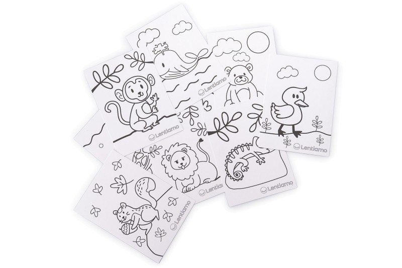 Libro da colorare + pastelli Lentiamo (bonus) | Lentiamo